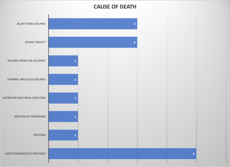We are not here to save children: abuse and neglect deaths after ...